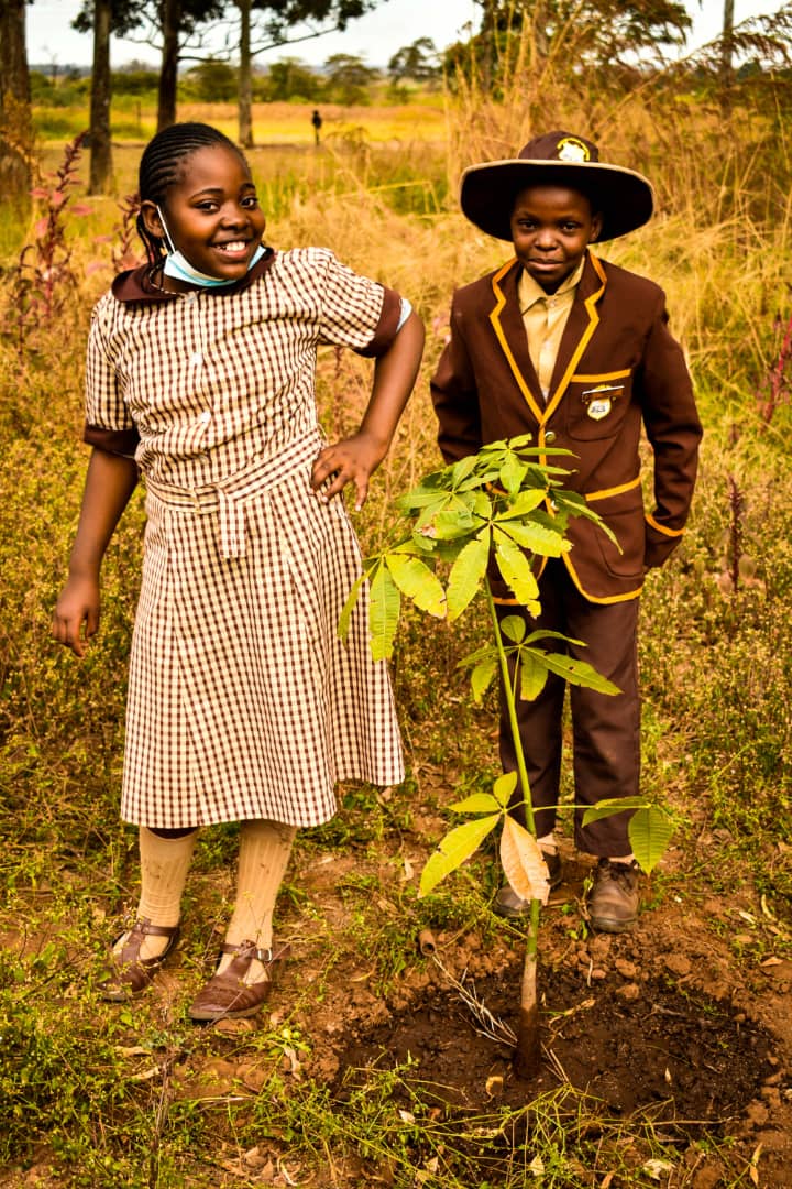 Zimbabwe’s tree-planting heroes - Agriculture.co.zw
